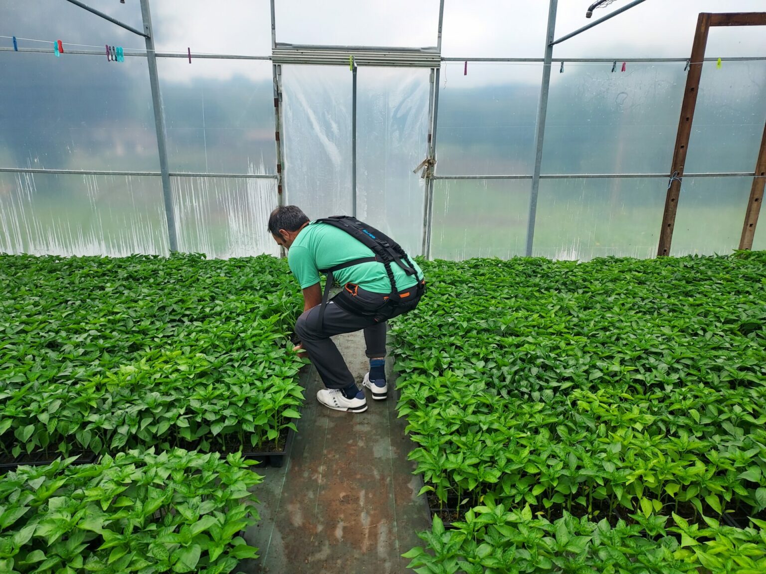 BISKO - Le nouvel Exosquelette de Fox Innovation